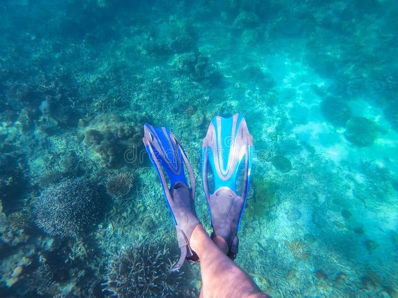 Diver Wearing Blue Fin for Diving Stock Image - Image of underwater ...