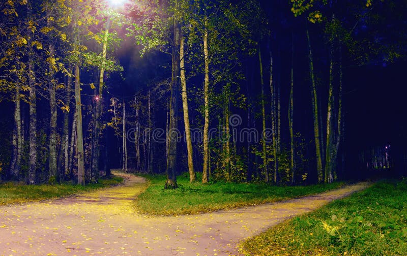 Divergence Foot-path in the Park at Night Stock Image - Image of ...