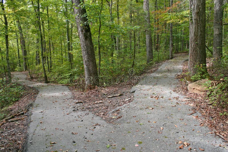 Diverging Paths stock image. Image of junction, pavement - 34283065