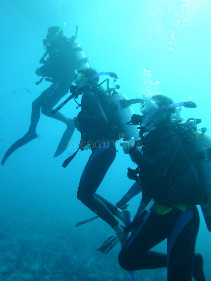 Divers Down stock image. Image of divers, florida, exploration - 37053429