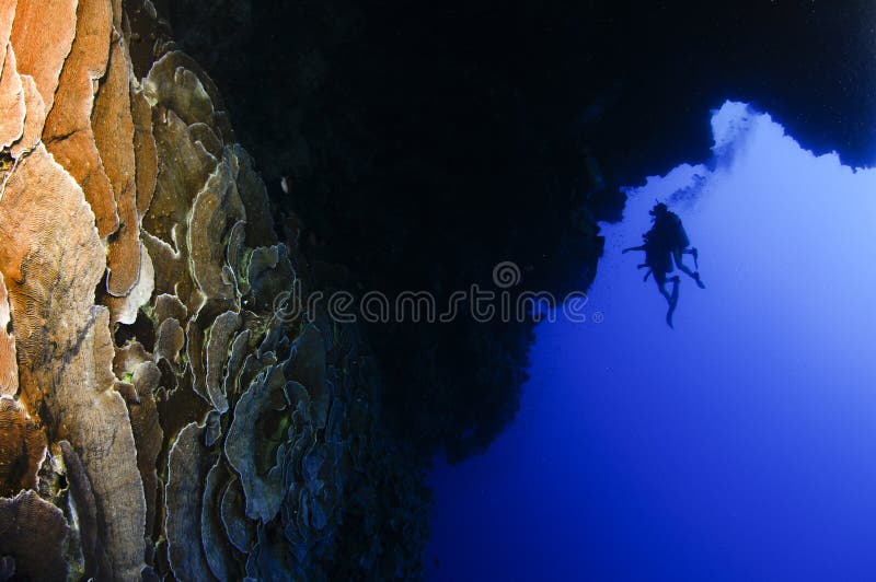Divers exploring Blue Hole stock photo. Image of silhouetted - 16046916