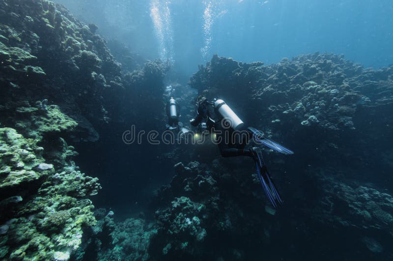 Divers Exploring the Coral Reefs in Egypt Stock Photo - Image of ...