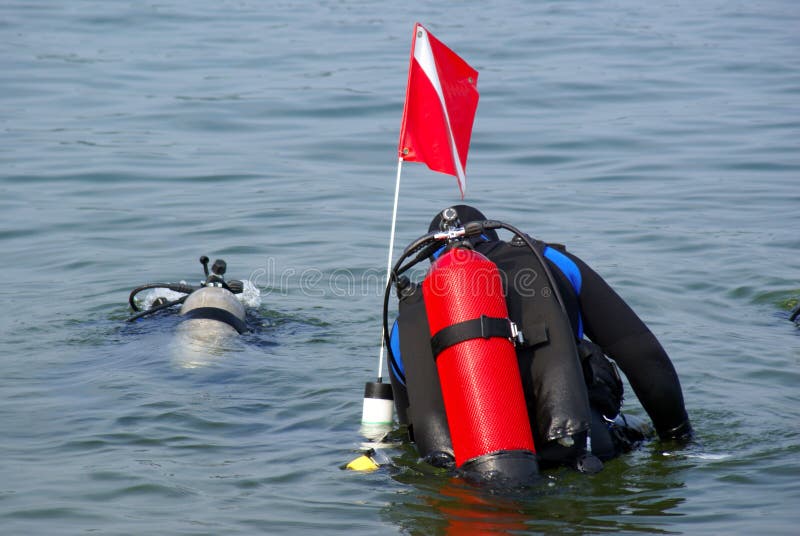 Divers down stock image. Image of reef, salvador, atlantic - 9278327