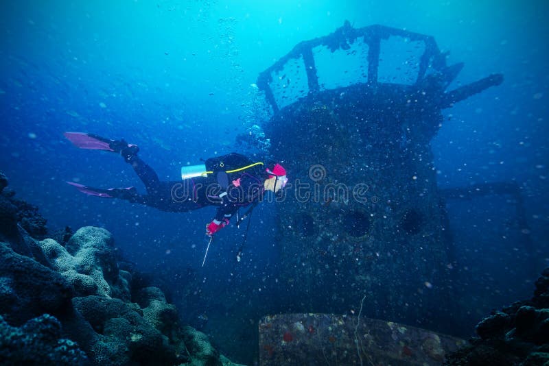 Divers and Marine Shipwreck Stock Photo - Image of largo, growth: 76441386