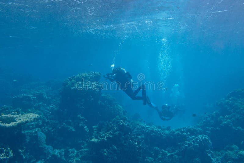 Divers Over a Coral Reef in Tropical Sea, Underwater Stock Photo ...