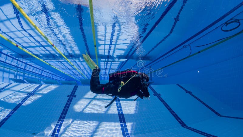 Divers practice stock photo. Image of dive, dives, coral - 225938546