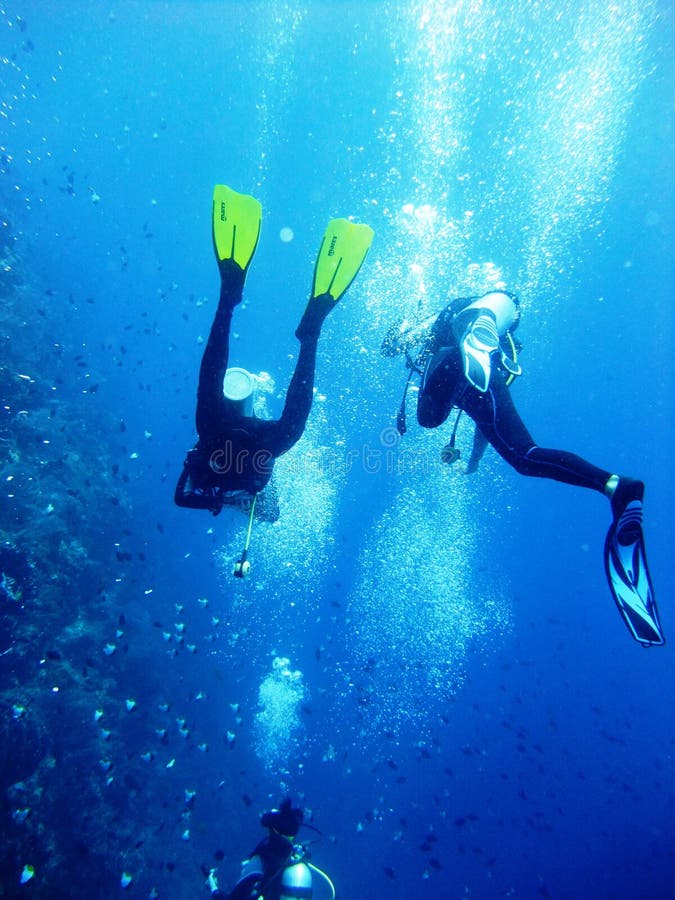 Divers stock photo. Image of fish, ocean, blue, tropics - 50454194