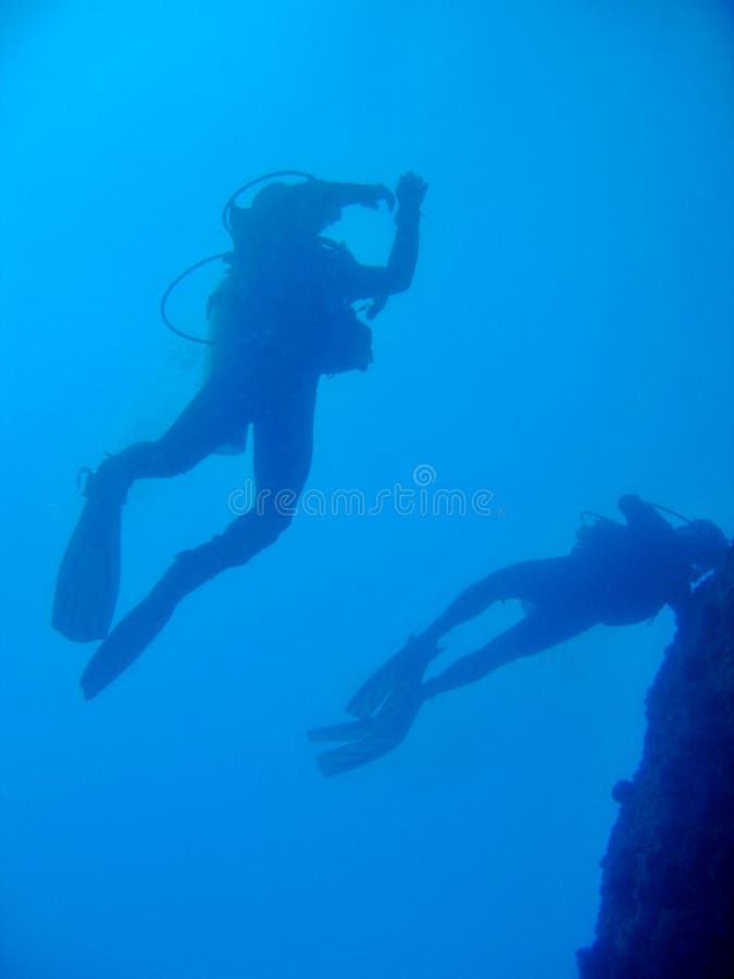 Divers Shadow stock photo. Image of scuba, dive, underwater - 1080566