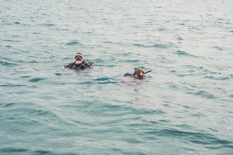 Divers on the Surface of Water Ready To Dive Stock Photo - Image of ...