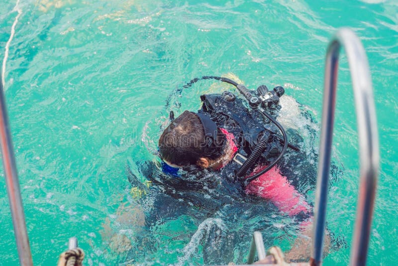 Divers on the Surface of Water Ready To Dive Stock Photo - Image of ...