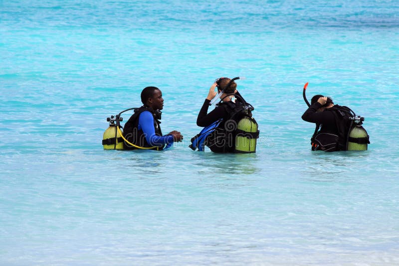 Divers during training editorial stock photo. Image of diving - 24753798