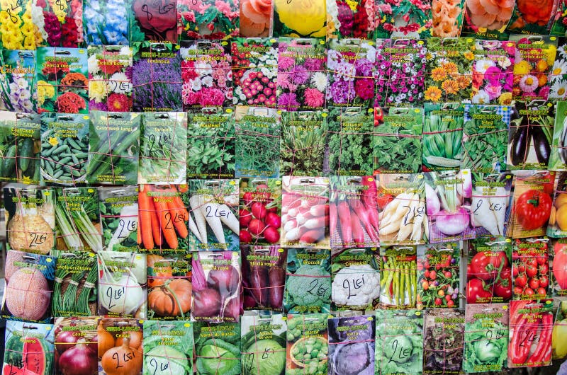 Divers Types De Graines Végétales Photo stock éditorial - Image du ...