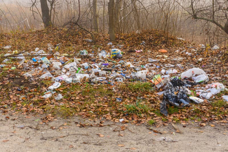 Diversa Basura En Una Tierra En Bosque Imagen de archivo - Imagen de ...