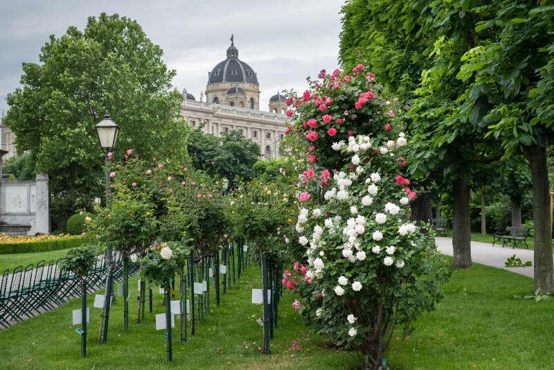 Diversas Rosas En Parque Con El Museo En Fondo Foto de archivo - Imagen ...