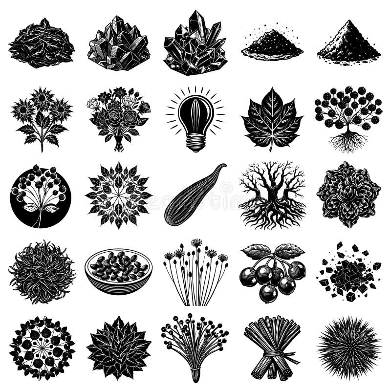 Diverse Assortment of Plants and Trees in Vector Illustrations Stock ...
