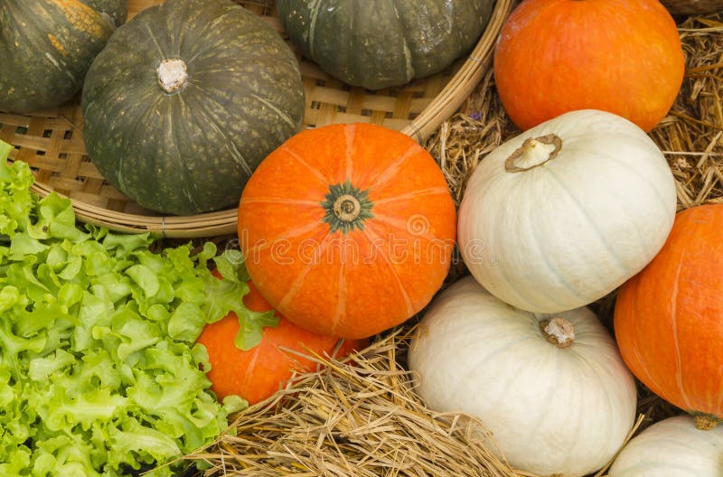 Diverse Assortment of Pumpkins. Stock Image - Image of colorful, fresh ...