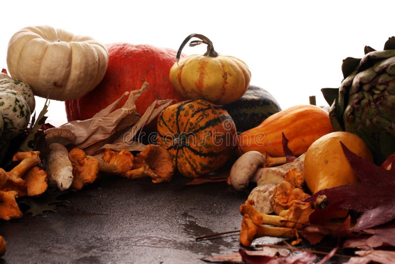 Diverse Assortment of Pumpkins on a Dark Rustic Background. Autumn ...