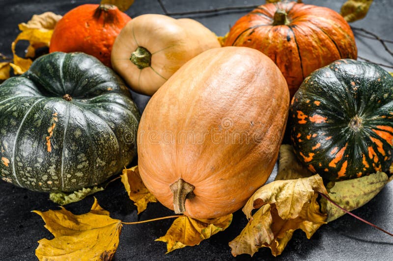 Diverse Assortment of Pumpkins on a Table. Black Background Stock Image ...