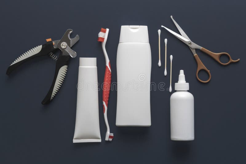 Basic Tools for Beauty. Studio Portrait of a Beautiful Young Woman with ...