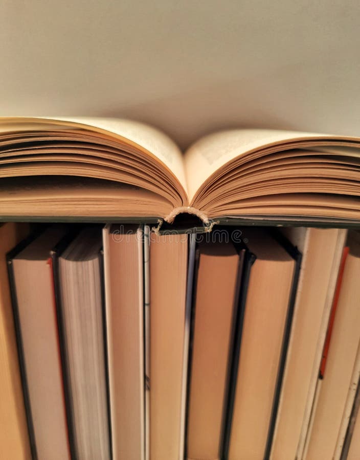 Diverse Books with One Open Book. Education and Learning, Reading Stock ...