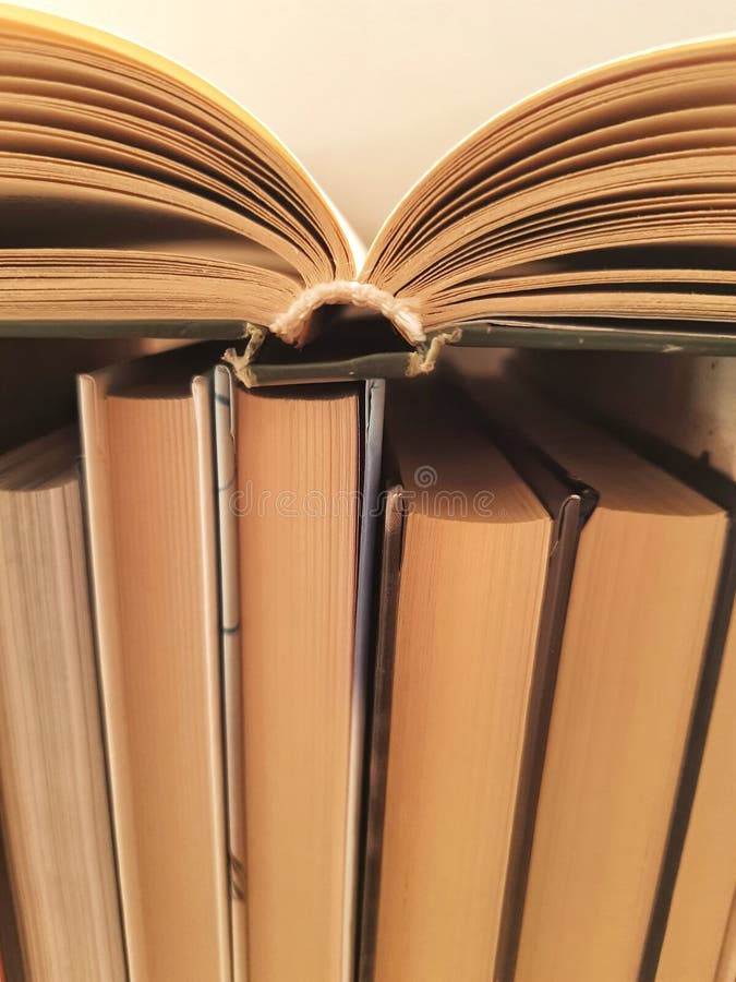 Diverse Books with One Open Book. Education and Learning, Reading Stock ...