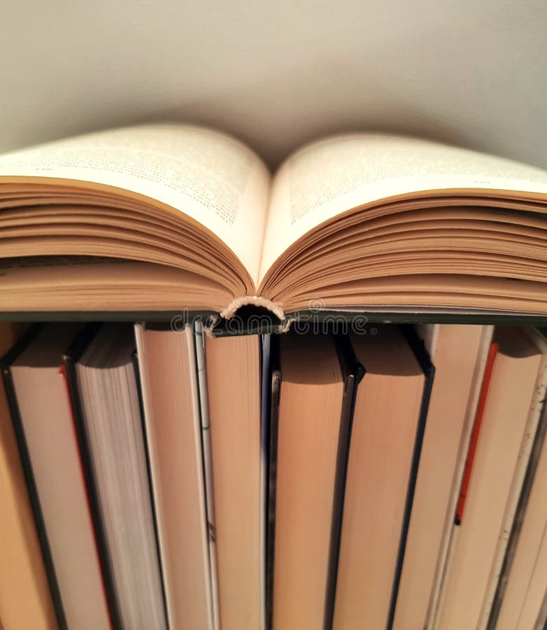 Diverse Books with One Open Book. Education and Learning, Reading Stock ...
