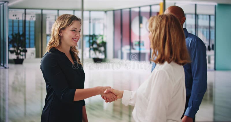 Diverse Business Persons Shaking Hands Stock Photo - Image of american ...
