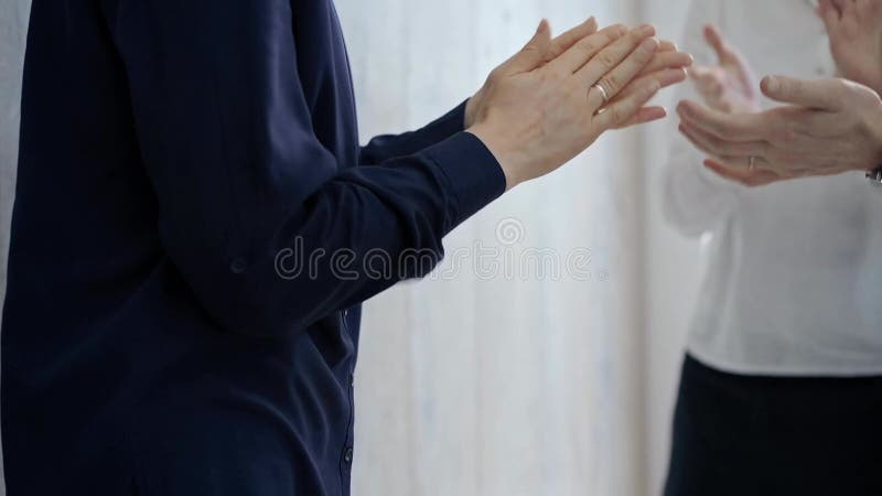 Diverse Business Team Clapping Hands in a Modern Office. Business ...