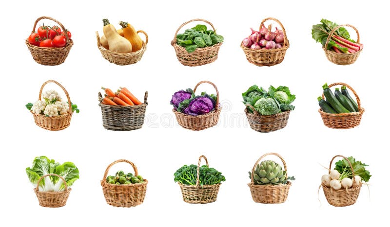 A Diverse Collection of Vegetable Baskets, Each Brimming Stock ...