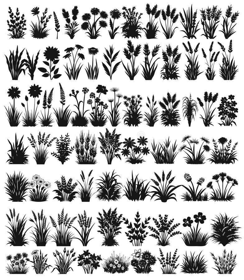 Wild Flower Grass Design Vector Set Stock Vector - Illustration of ...