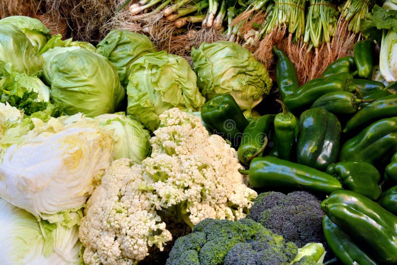 Soorten Groene Bladgroente in Markt Stock Afbeelding - Image of milieu ...