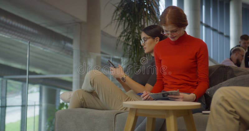 A Diverse Group of Colleagues Exchange Business Experiences, Engage in ...