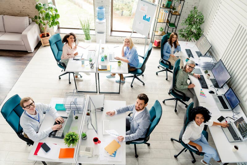 Diverse Group of Professionals Collaborating in a Modern Office ...