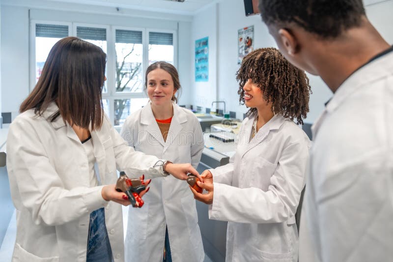 Medical Students Sharing Anatomical Model in University Lab Stock Image ...