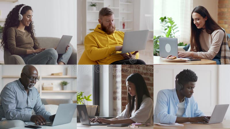 Diverse Group of People Using Laptops in Modern Indoor Settings during ...
