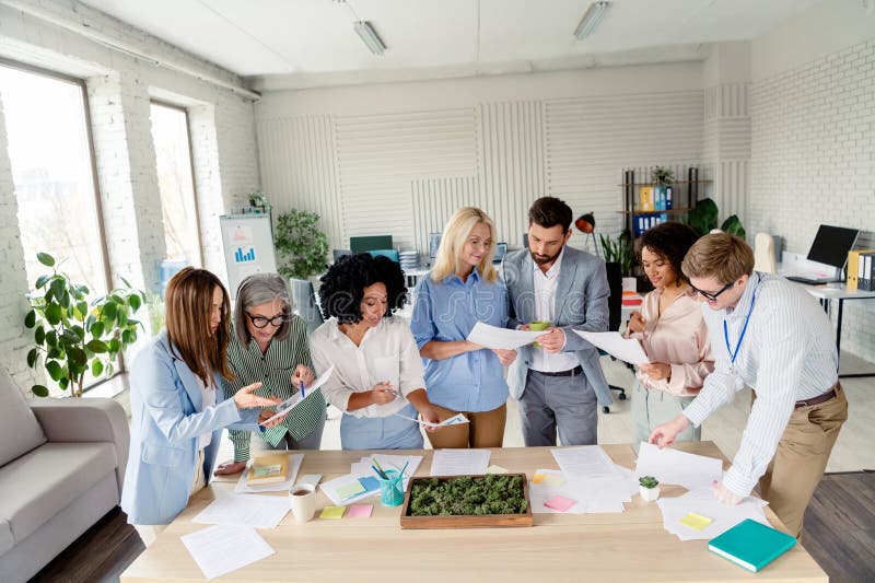 Diverse Group of Professionals Collaborating in a Bright Office Setting ...