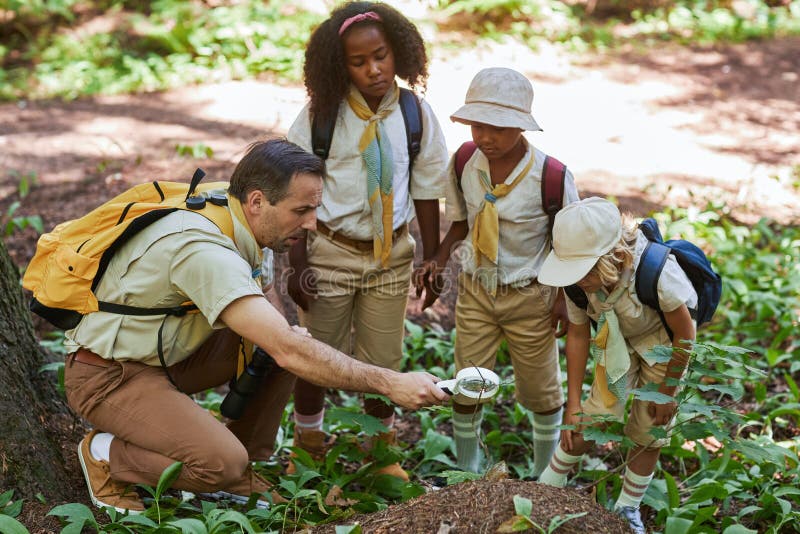 Diverse Group of Scouts Inspecting Anthill during Field Trip Stock ...
