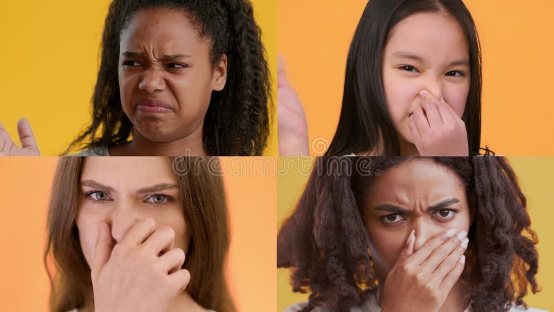 A Collection of Diverse Individuals Showing Various Emotions through ...