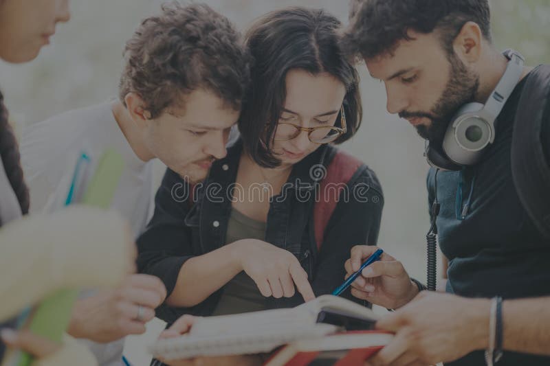Diverse Group of Students Collaborating on School Work Outdoors Stock ...