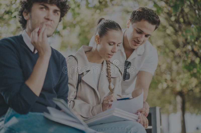 Group of Students Studying Together in a Sunny Park Setting Stock Photo ...