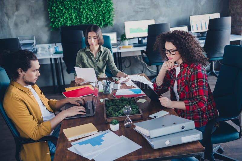Diverse Group of Young Professionals Collaborating in Modern Office ...
