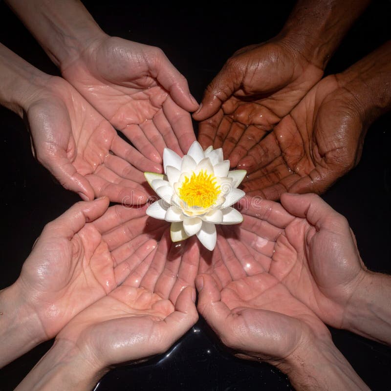 Holding Water Lily Stock Illustrations – 354 Holding Water Lily Stock ...