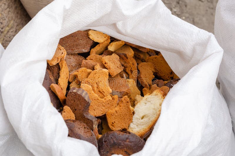 Sack of hard chuck. stock photo. Image of chuck, rich - 169983544