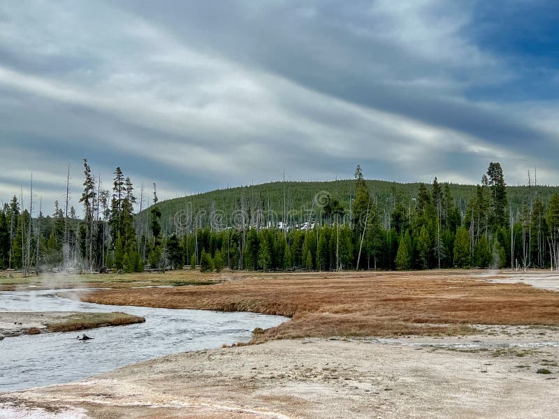 Diverse Hot Springs and Water Sources in a Forest Setting Stock Photo ...