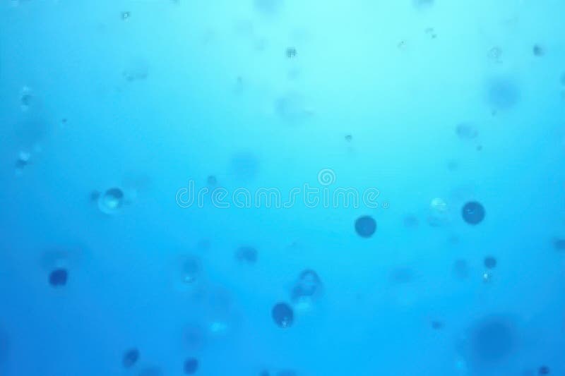 Diverse Imagery Discovery: an in-Depth Tour of Vibrant Galleries Stock ...