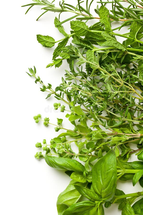 Verse kruiden in een mand stock afbeelding. Image of gezond - 43329067