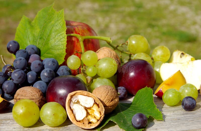 Diverse Natural Autumn Fruits Stock Photo - Image of healthy, farmer ...