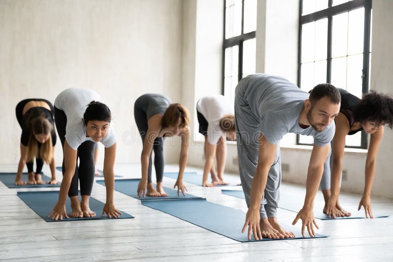 Diverse People Doing Half Forward Bend Exercise, Practicing Yoga Stock ...