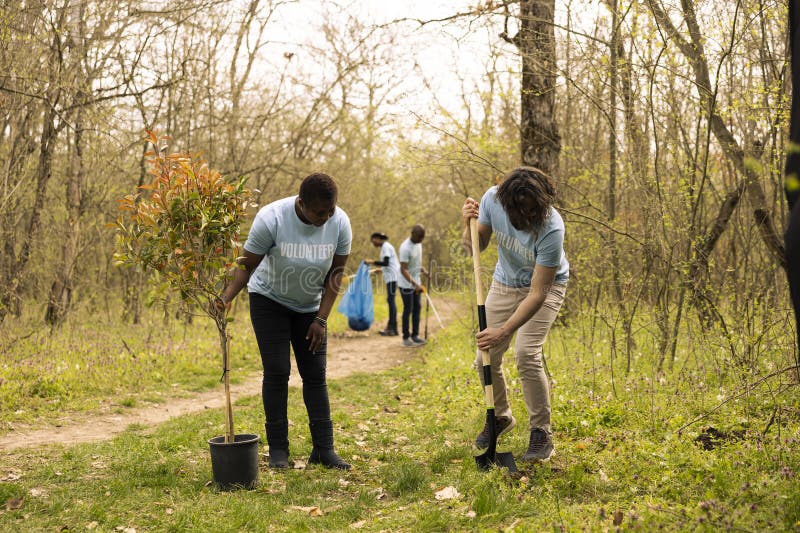 Diverse People Joining Forces in Digging Holes and Planting Trees Stock ...