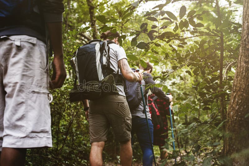 Diverse People Trekking in a Forest Stock Photo - Image of leaves ...